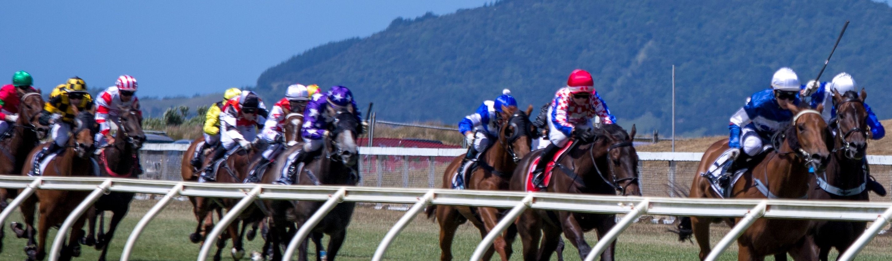 Race Meeting Update – Wednesday February 9 - Whangarei Racing Club
